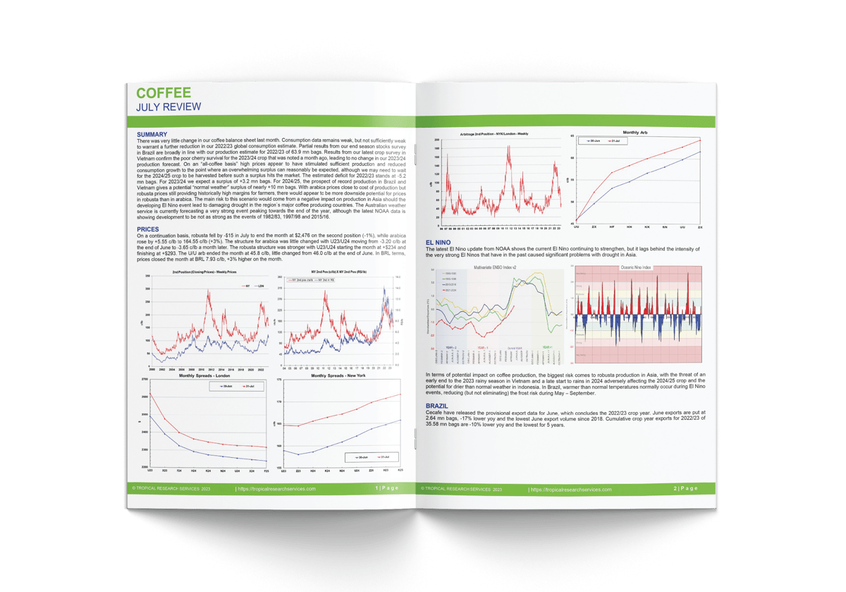 Outlook for Brazil 2024/25 arabica crop hangs in the balance